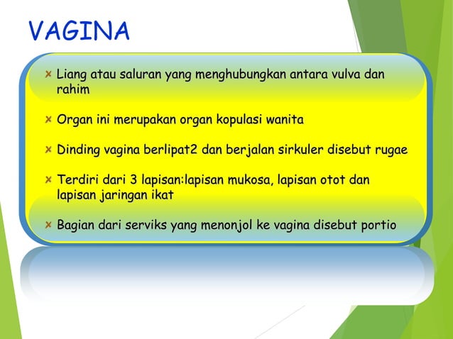 Sistem Reproduksi Dila (1).pptx