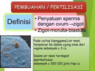 Sistem Reproduksi Dila (2).pptx