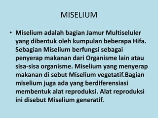 Materi Tentang Sistem Reproduksi fungi/ Jamur | PPTX