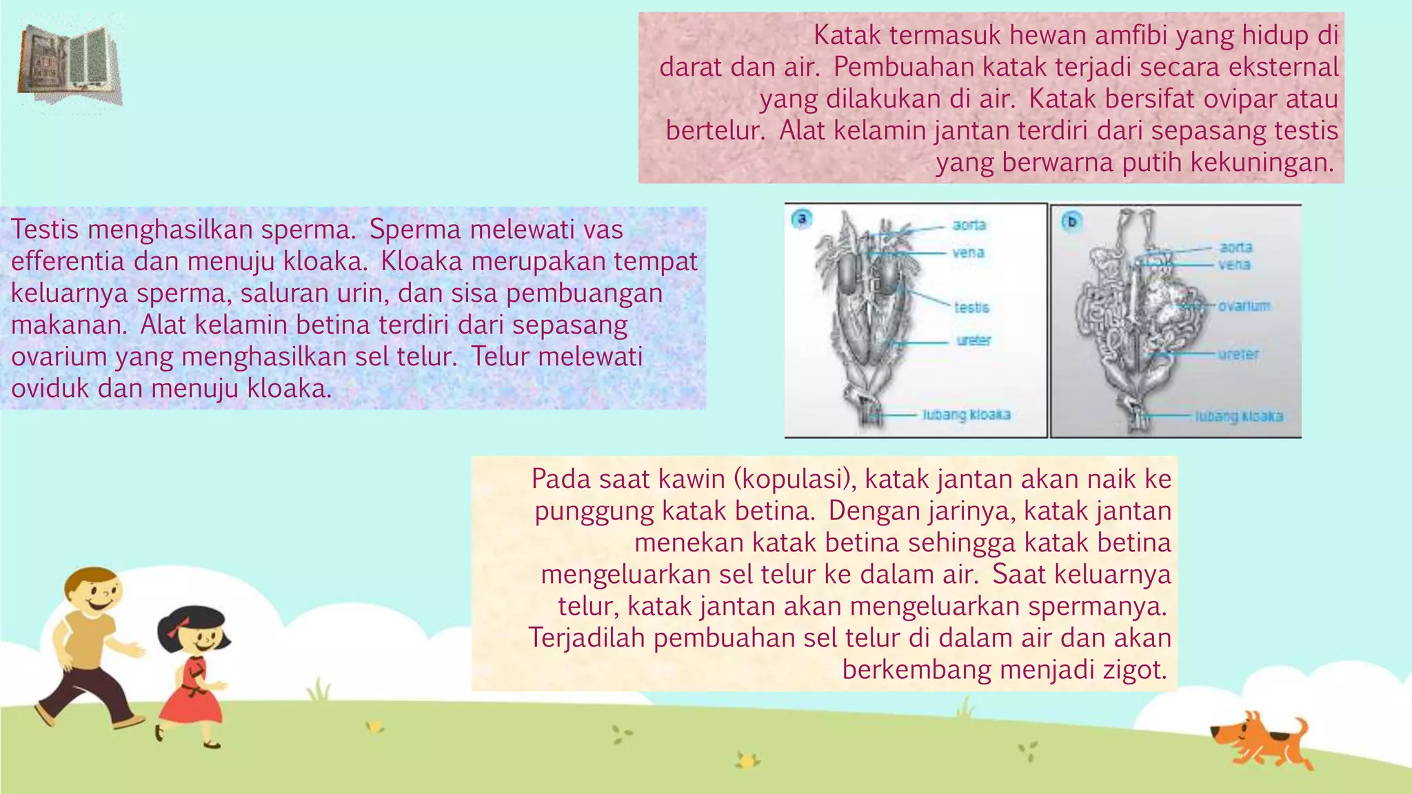 Sistem reproduksi hewan | PPTX