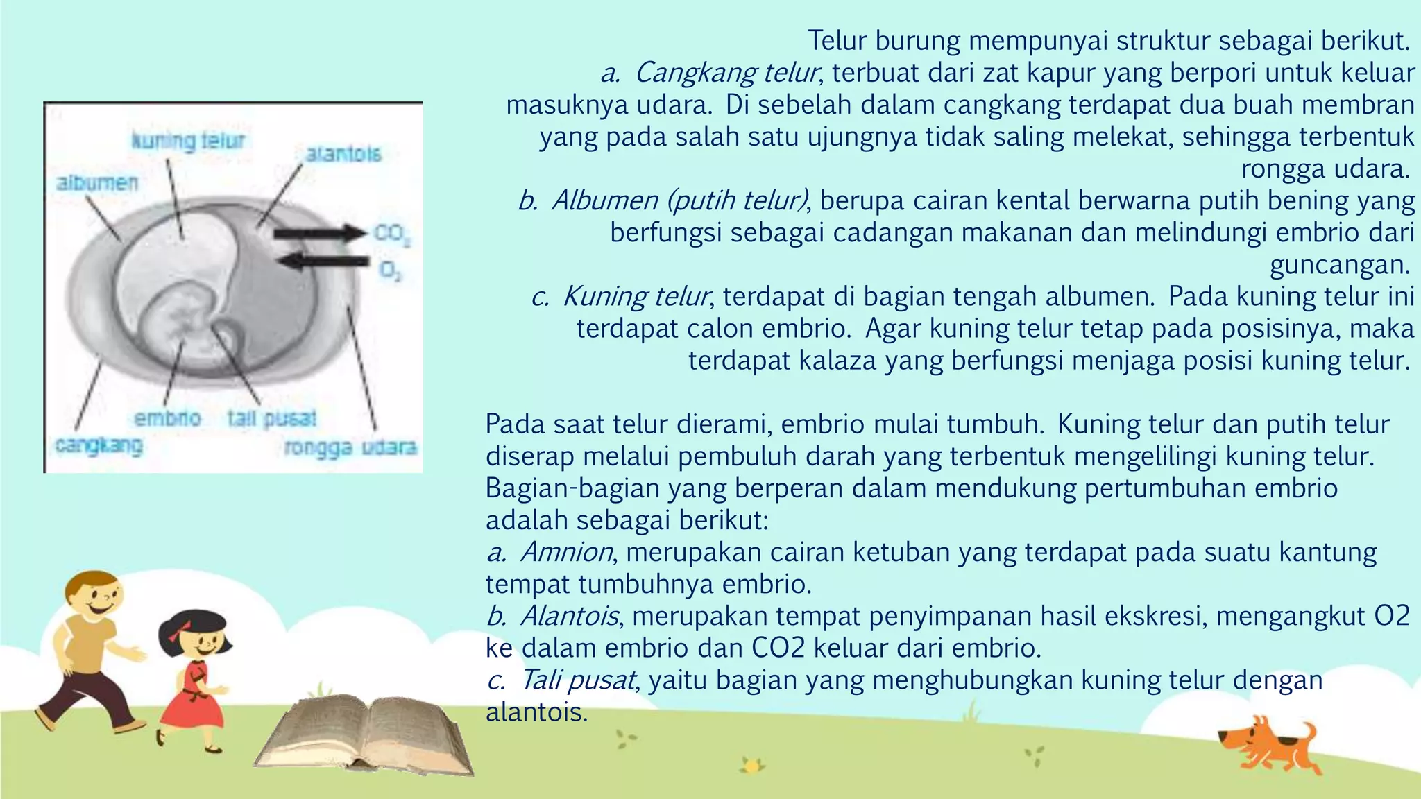 Sistem reproduksi hewan | PPTX