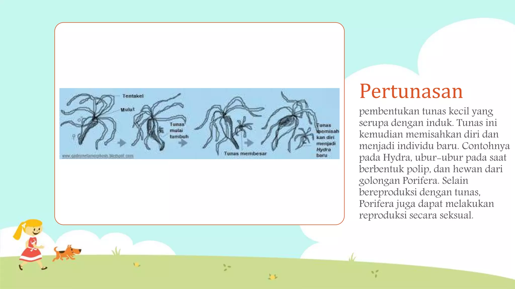 Sistem reproduksi hewan | PPTX