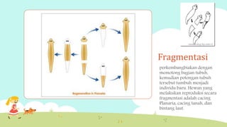 Sistem reproduksi hewan | PPTX