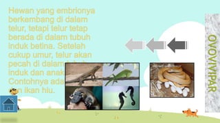 Sistem reproduksi hewan | PPTX