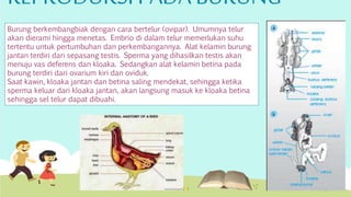 Sistem reproduksi hewan | PPTX