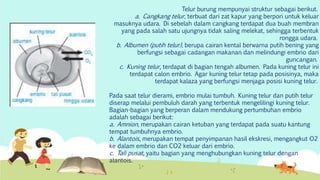 Sistem reproduksi hewan | PPTX