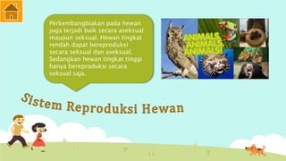 Sistem reproduksi hewan | PPTX