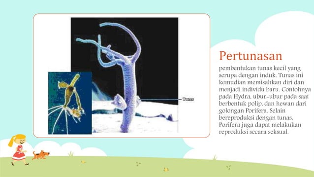 Sistem reproduksi hewan | PPTX