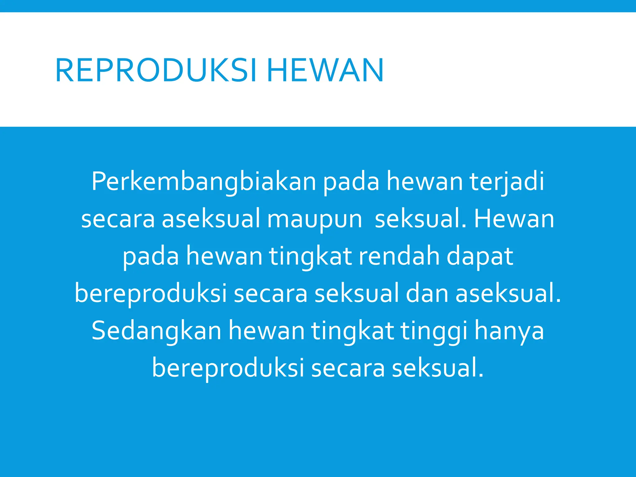Sistem Reproduksi Hewan.pptx