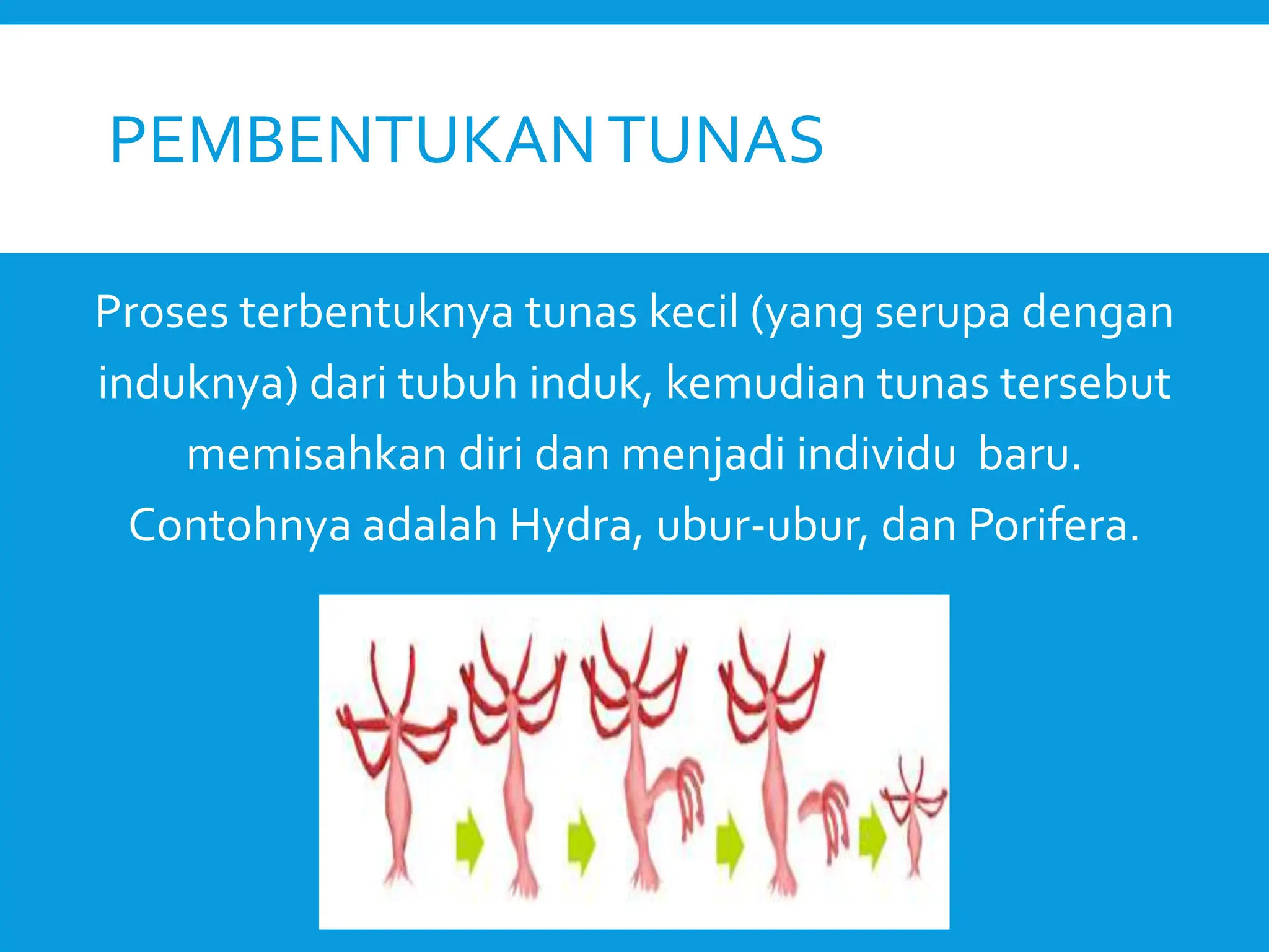 Sistem Reproduksi Hewan.pptx