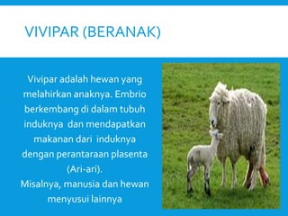 Sistem Reproduksi Hewan.pptx