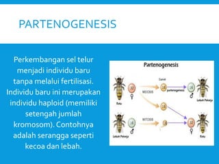 Sistem Reproduksi Hewan.pptx