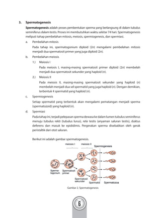 Sistem reproduksi i | PDF