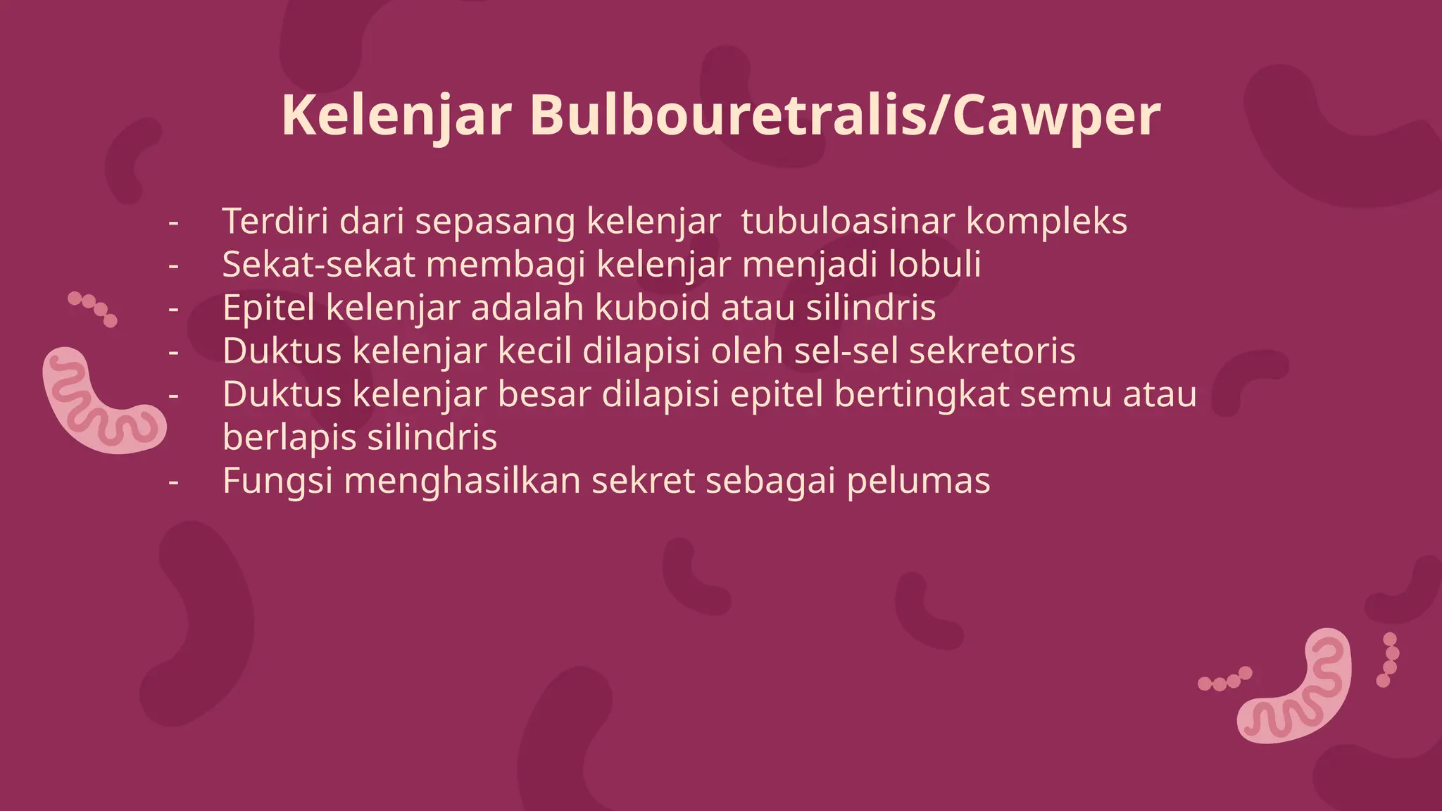 SISTEM REPRODUKSI PRIA - MK ANFISMAN.pptx
