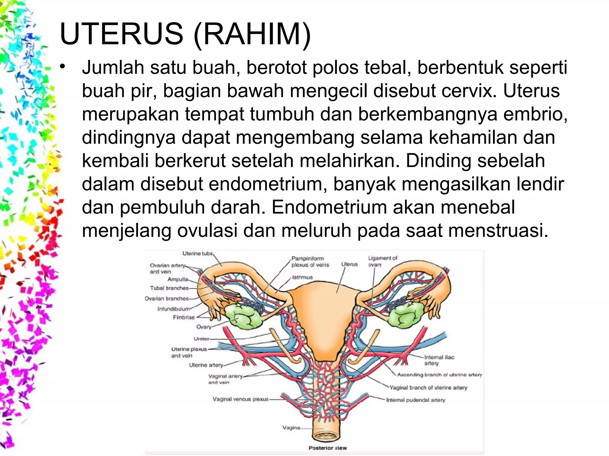 Sistem Reproduksi Manusia - Biologi | PPT