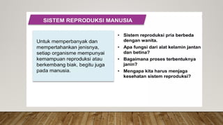 sistem reproduksi pada manusia smp kelas 9 | PPTX
