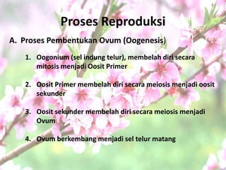 Biologi: Sistem Reproduksi Manusia | PPT