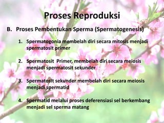 Biologi: Sistem Reproduksi Manusia | PPTX
