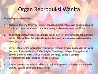 Biologi: Sistem Reproduksi Manusia | PPTX