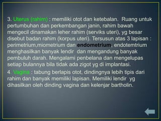 Sistem reproduksi manusia | PPTX