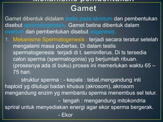 Sistem reproduksi manusia | PPTX