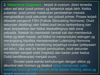 Sistem reproduksi manusia | PPTX