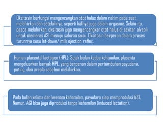 Sistem Reproduksi Manusia Kelas XI IPA | PPTX