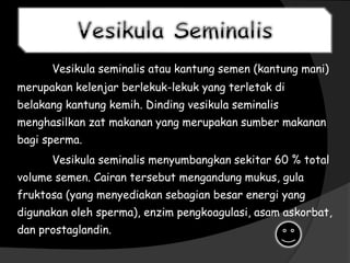 Sistem reproduksi manusia | PPTX