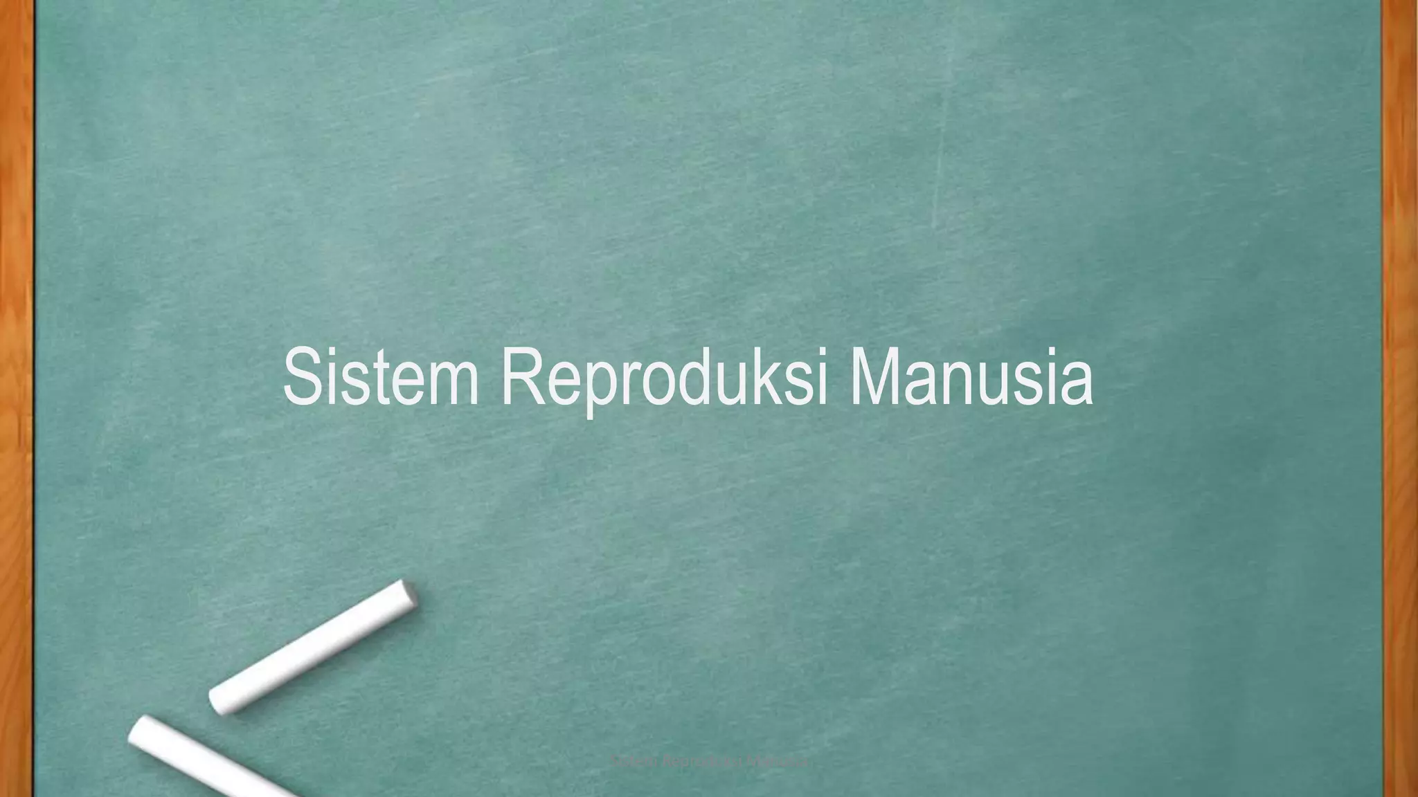 Sistem reproduksi manusia | Powerpoint | PPTX