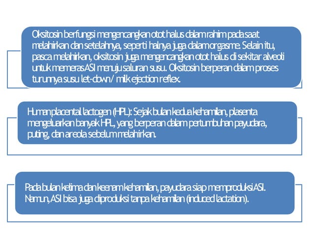 sistemreproduksimanusia-.pptx