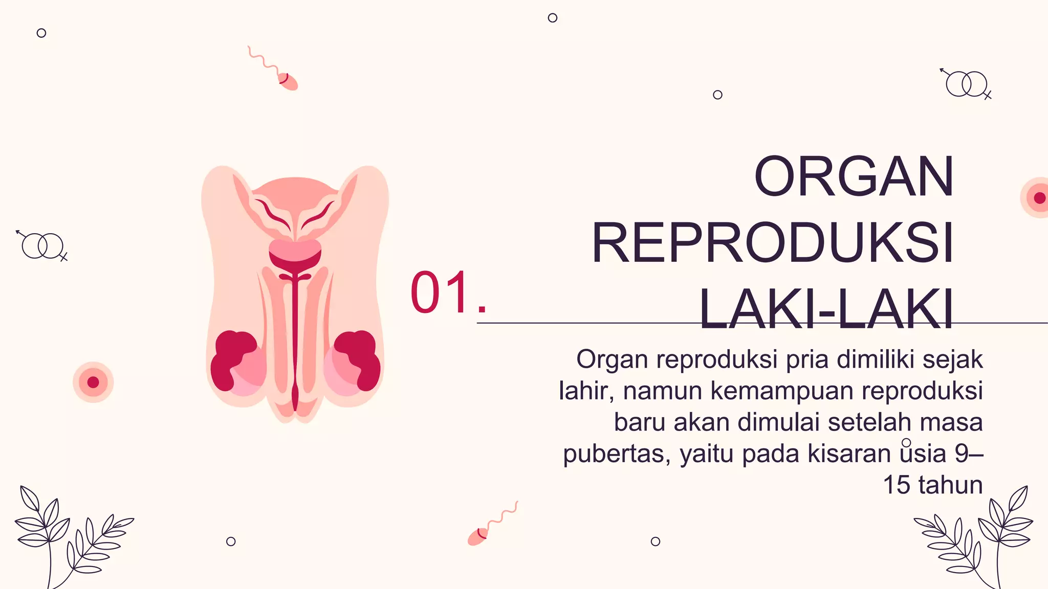 SISTEM REPRODUKSI MANUSIA.pptx