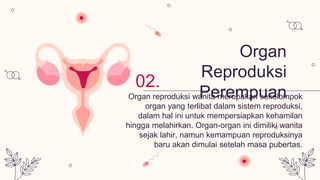 SISTEM REPRODUKSI MANUSIA.pptx