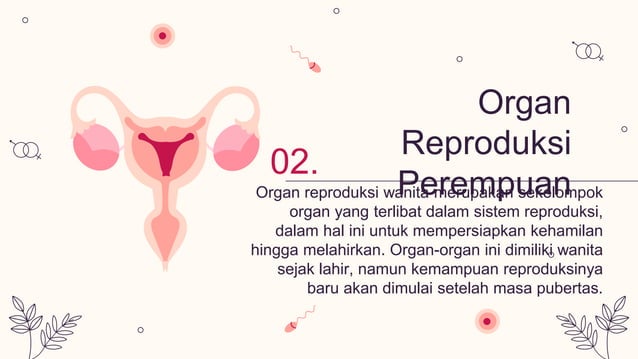 SISTEM REPRODUKSI MANUSIA.pptx