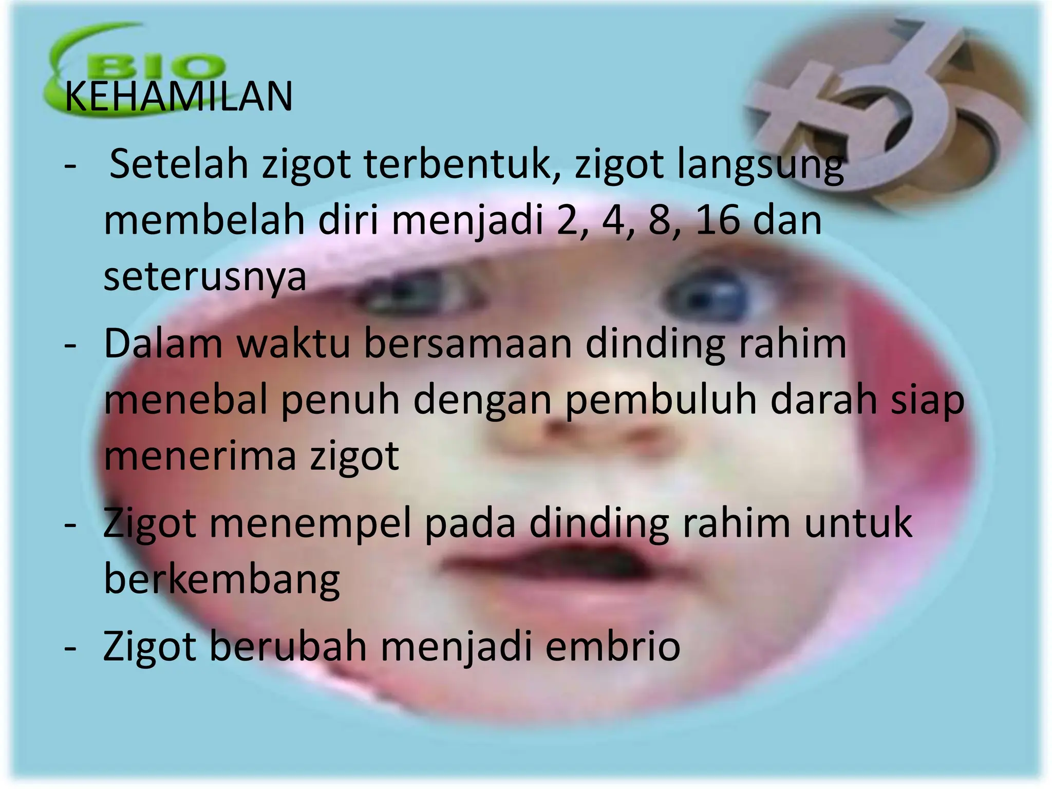 SISTEM REPRODUKSI LENGKAP PADA MANUSIA.ppt