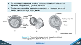 SISTEM REPRODUKSI MANUSIA ok.pptx
