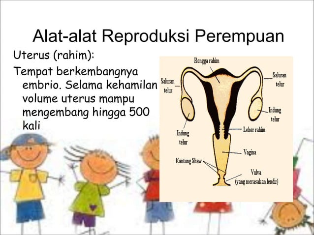 SISTEM REPRODUKSI MANUSIA KELAS 9 TERBARU | PPT