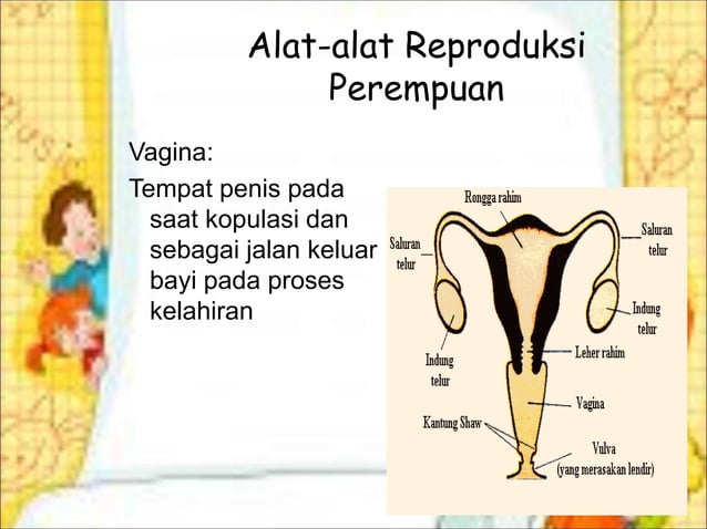 SISTEM REPRODUKSI MANUSIA KELAS 9 TERBARU | PPT