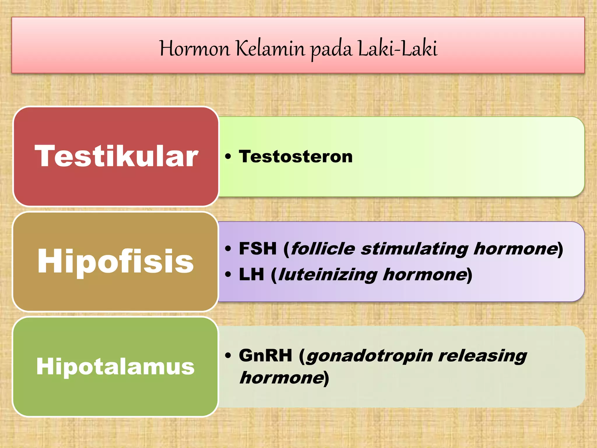 SISTEM REPRODUKSI MANUSIA (XI).pptx
