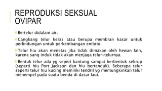 Sistem Reproduksi Pada Hiu dan Paus | PPTX