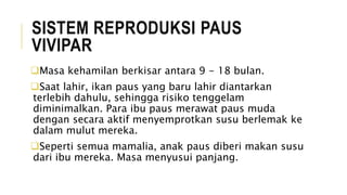 Sistem Reproduksi Pada Hiu dan Paus | PPTX