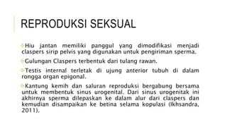 Sistem Reproduksi Pada Hiu dan Paus | PPTX