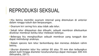 Sistem Reproduksi Pada Hiu dan Paus | PPTX