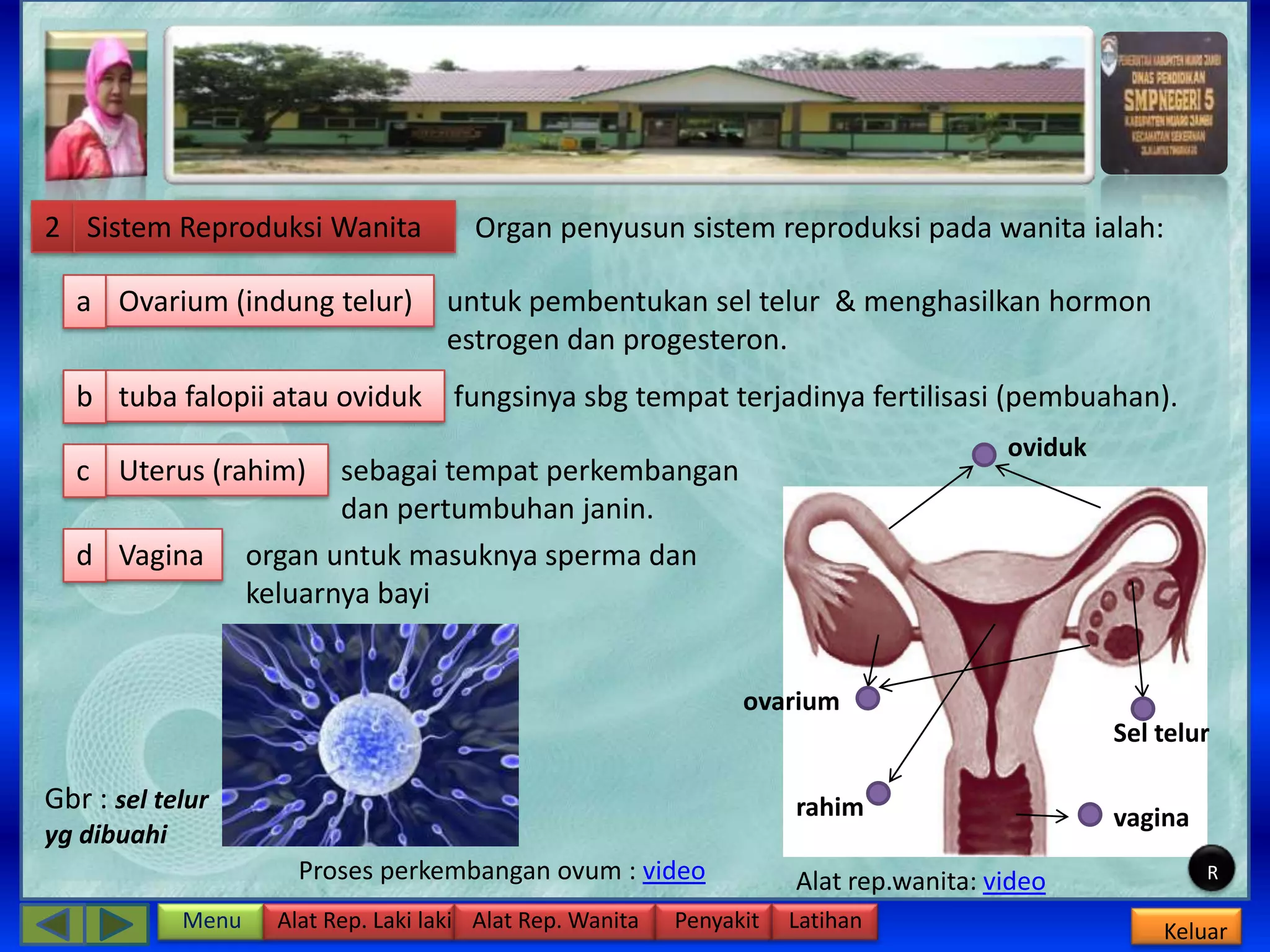 Sistem reproduksi pada manusia ppt | PPTX