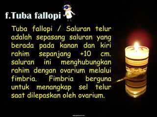 Sistem reproduksi pada manusia | PPTX