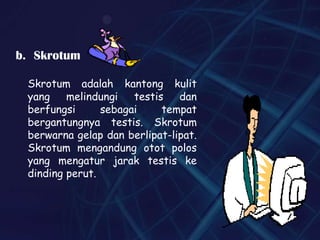 Sistem reproduksi pada manusia | PPTX