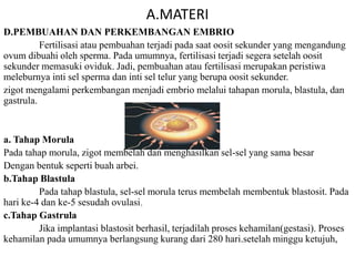 Sistem reproduksi pada manusia | PPTX