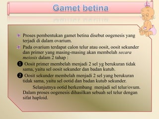Sistem reproduksi pada manusia | PPT