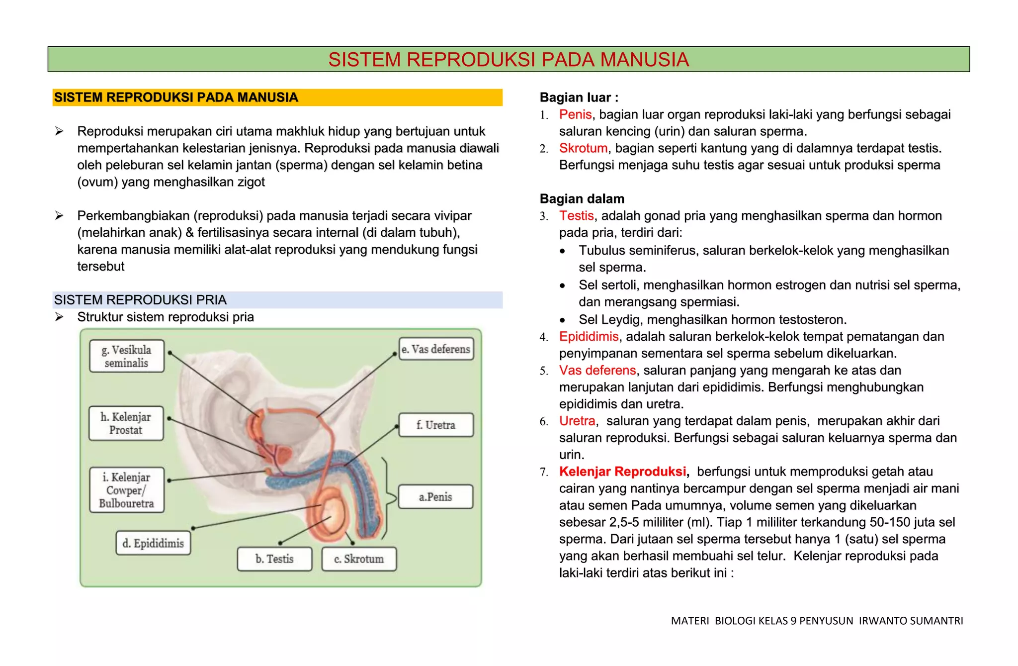 Sistem reproduksi pada manusia | PDF