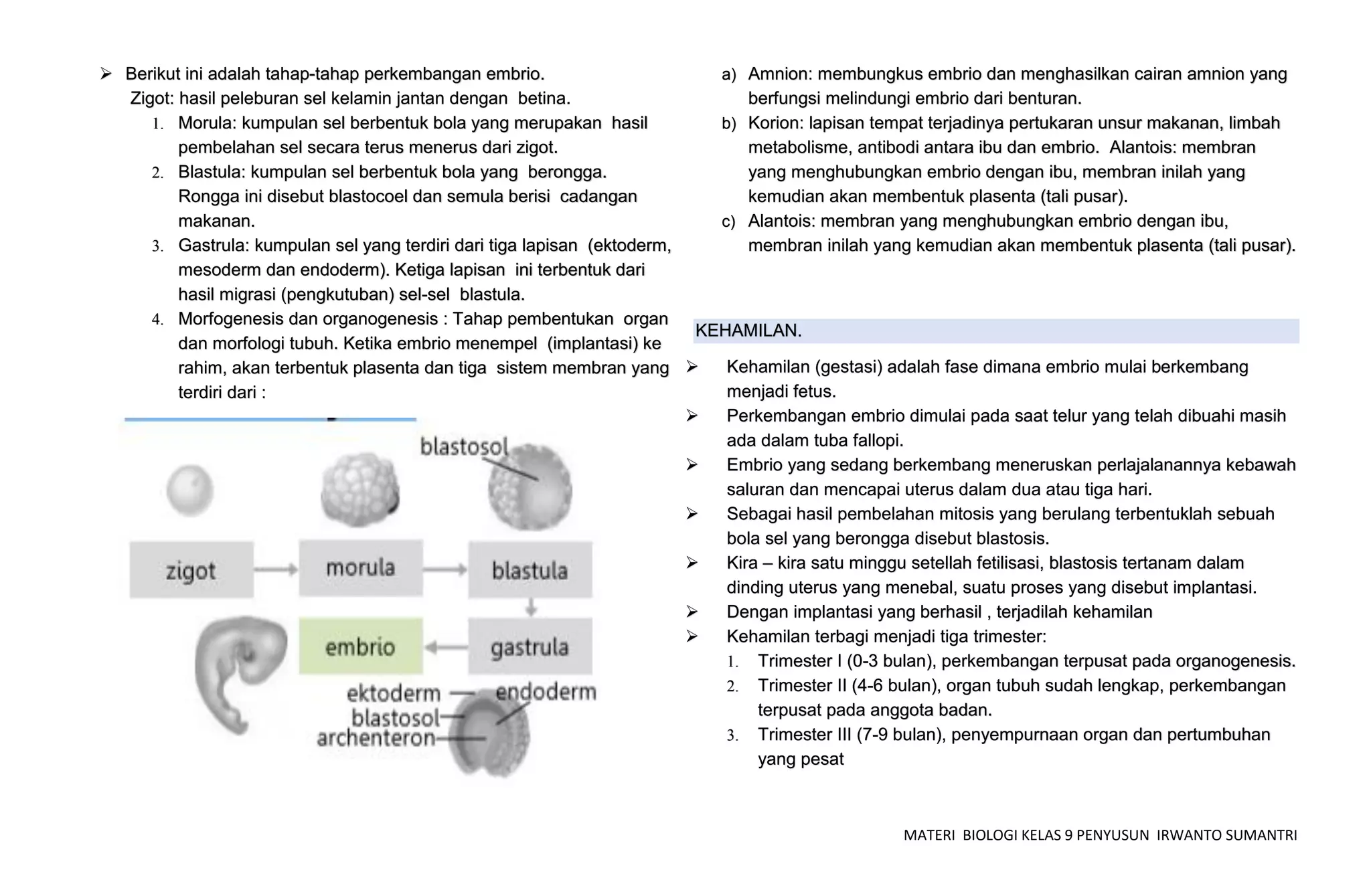 Sistem reproduksi pada manusia | PDF