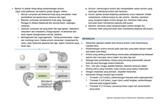 Sistem reproduksi pada manusia | PDF